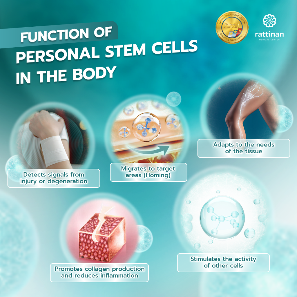 Stem Cell Therapy in Bangkok for Skin Health & Rejuvenation